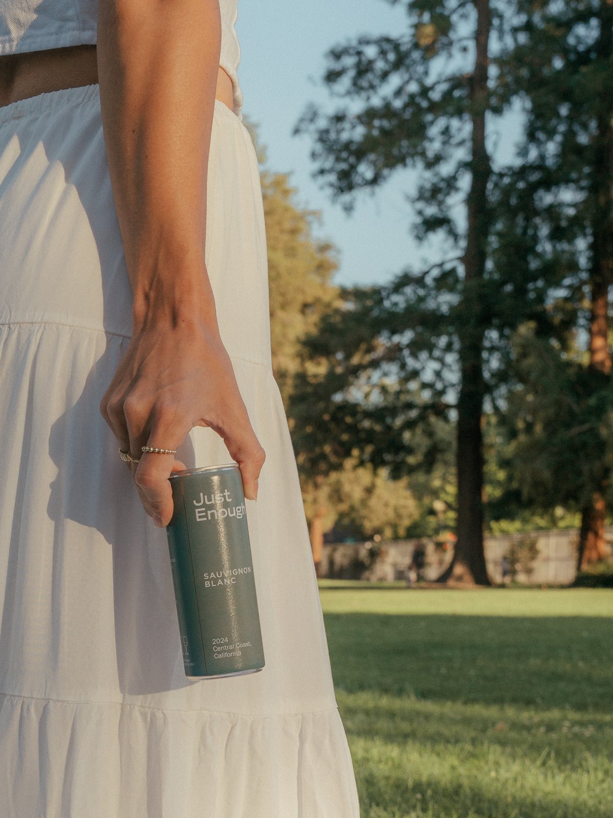 Just Enough Wines | Premium Canned Wine & Stylish Wine Gifts