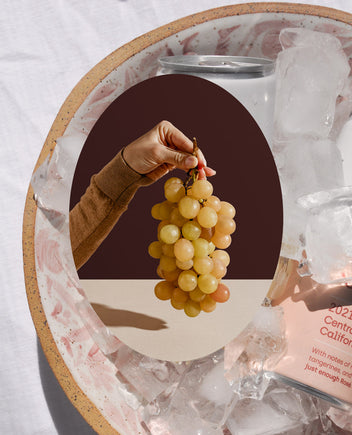 Just Enough Wines | Premium Canned Wine & Stylish Wine Gifts